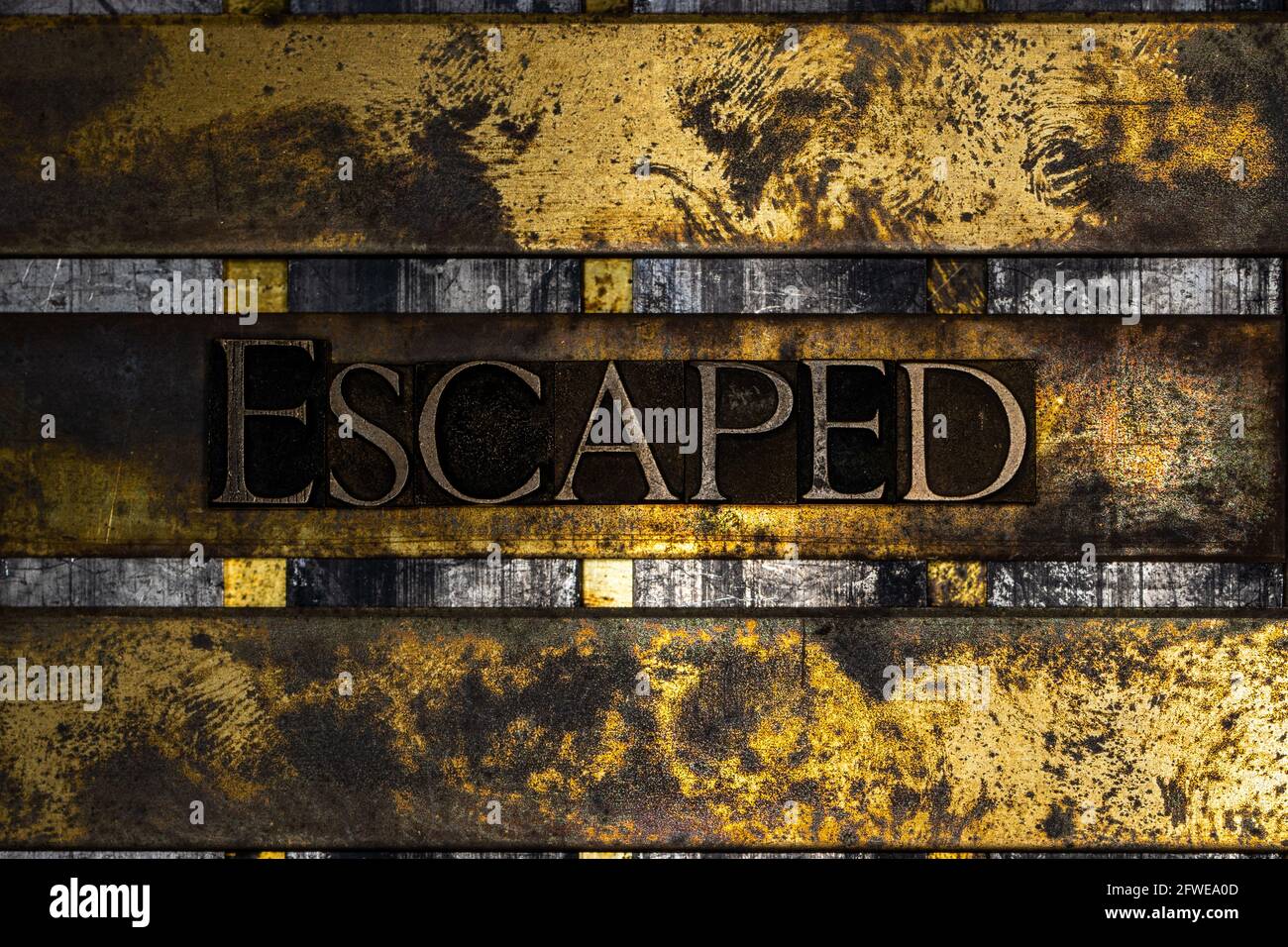 Biolab hi-res stock photography and images - Alamy