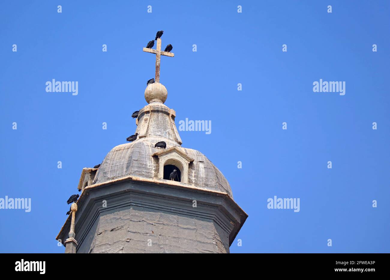 Flock of Condors Perching on the Cross of Lima Cathedral's Bell Tower ...