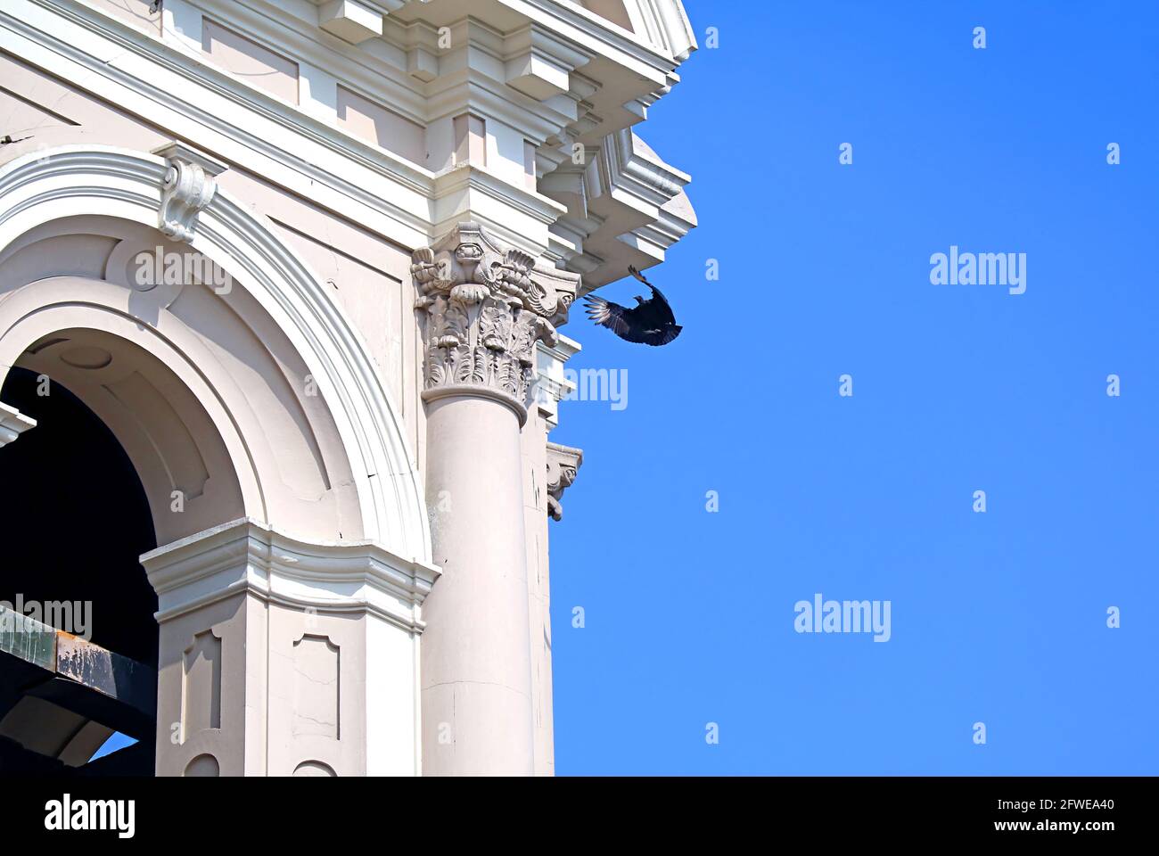 Condor Flying to the Bell Tower of Lima Cathedral, an Iconic Landmark ...