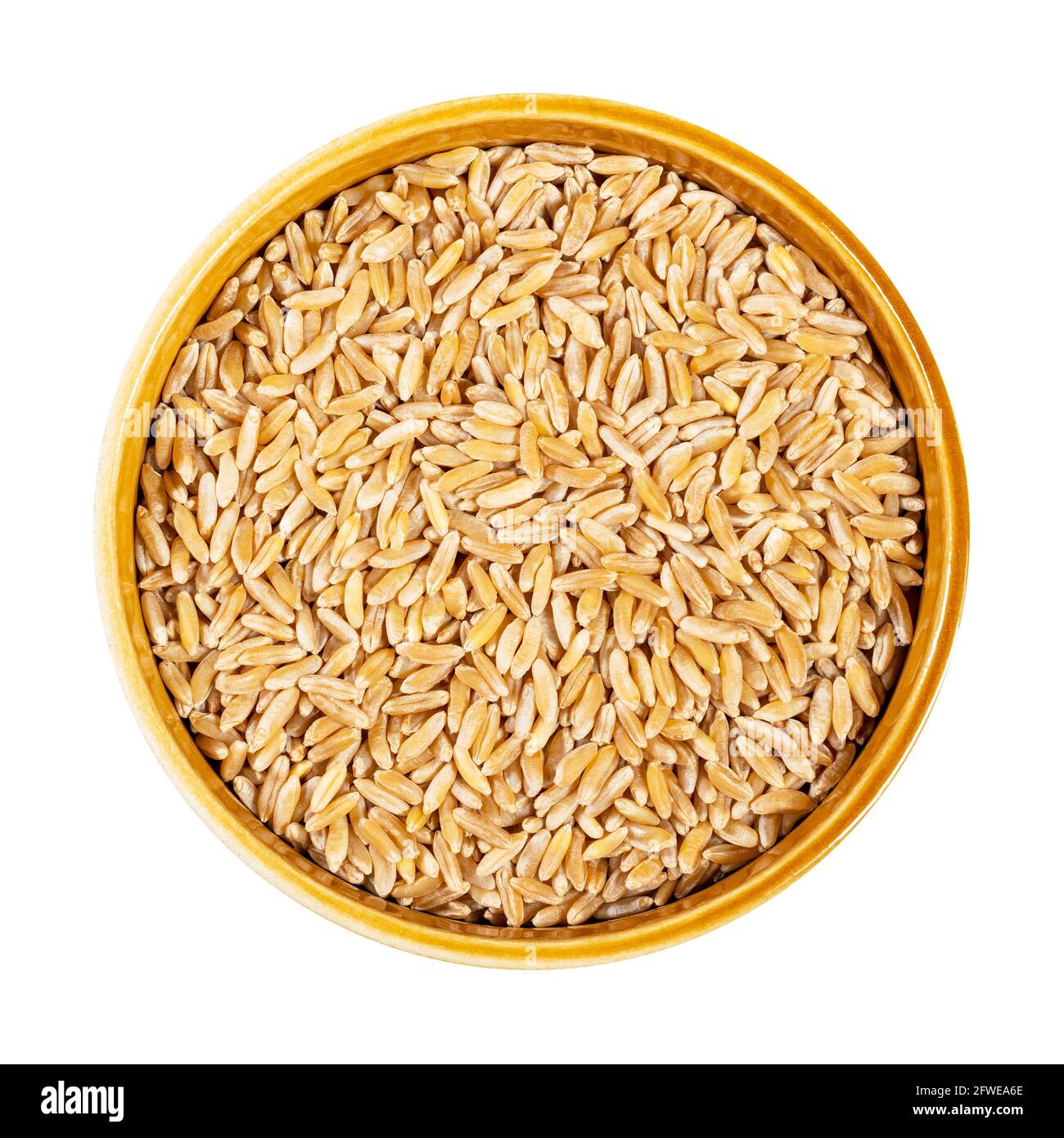 Wheat grain seed sample hi-res stock photography and images - Alamy