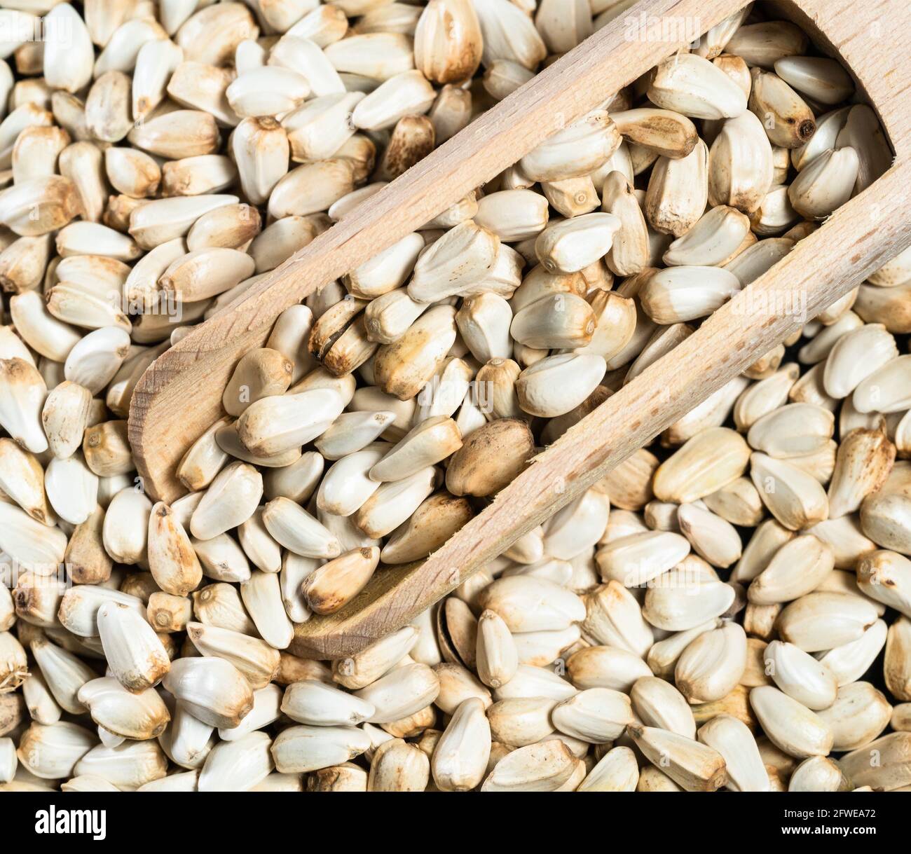 Safflower seeds hi-res stock photography and images - Alamy