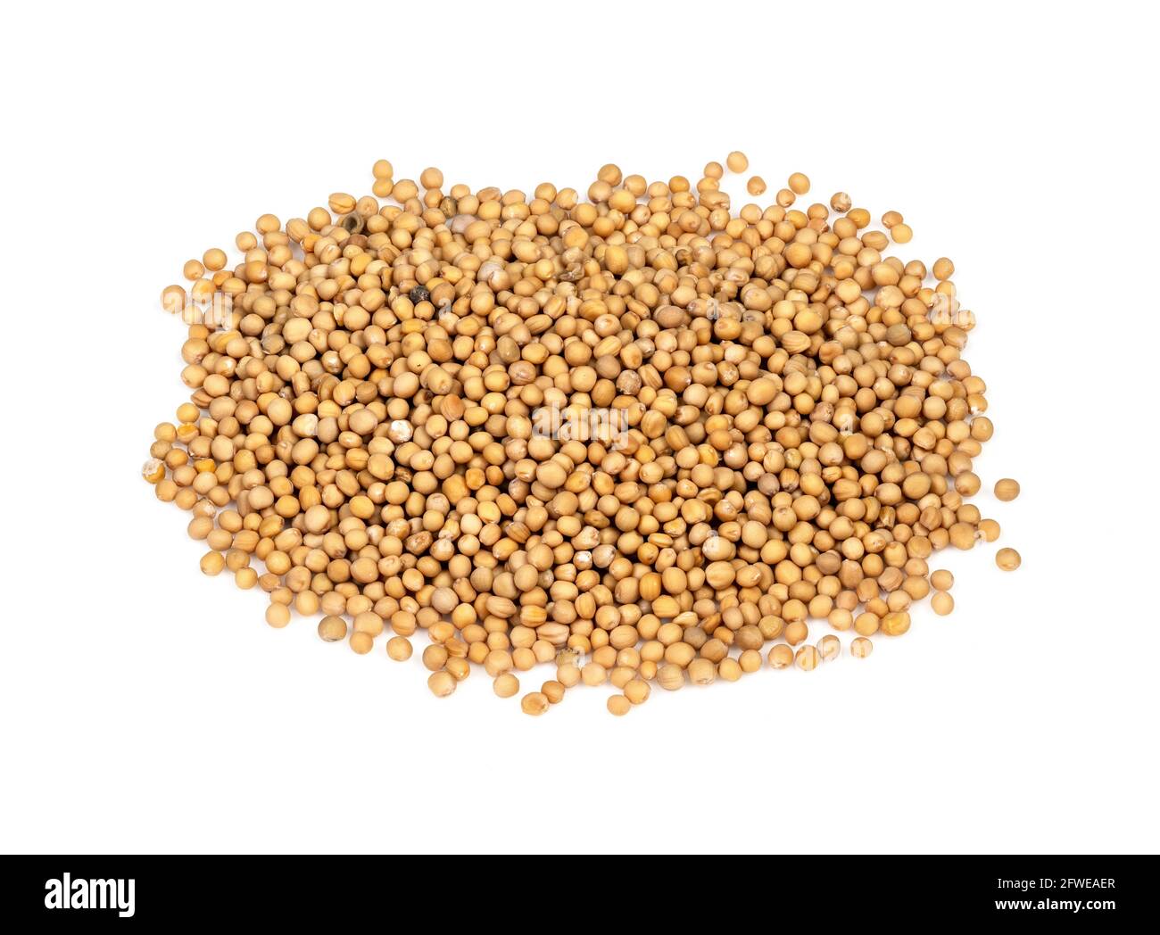 pile of white mustard seeds closeup on white background Stock Photo - Alamy