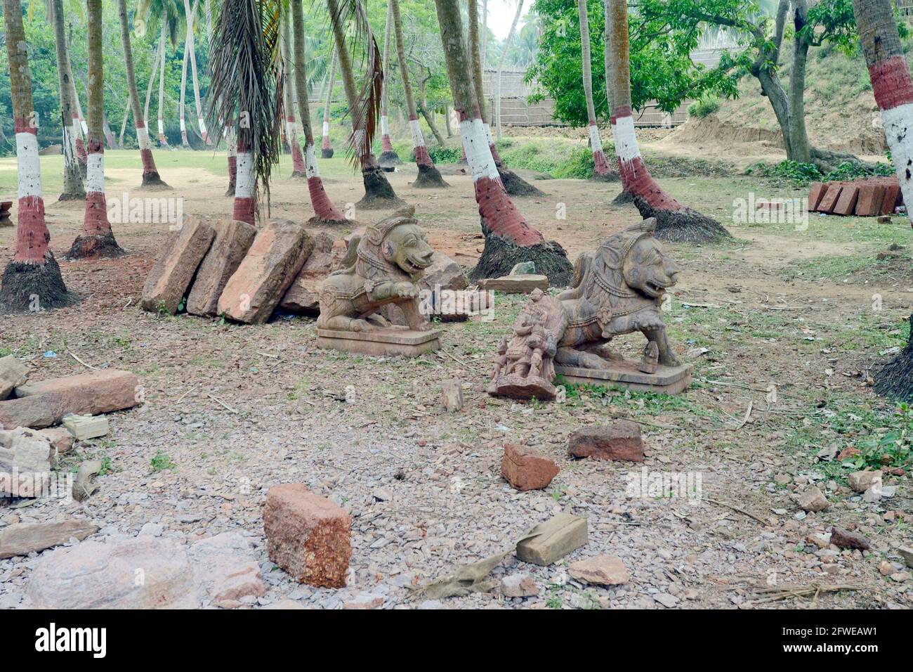 landscape of rural odisha Stock Photo - Alamy