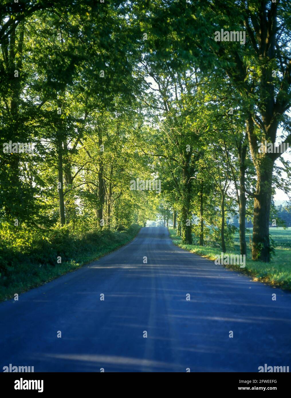 Rural roadscape hi-res stock photography and images - Alamy