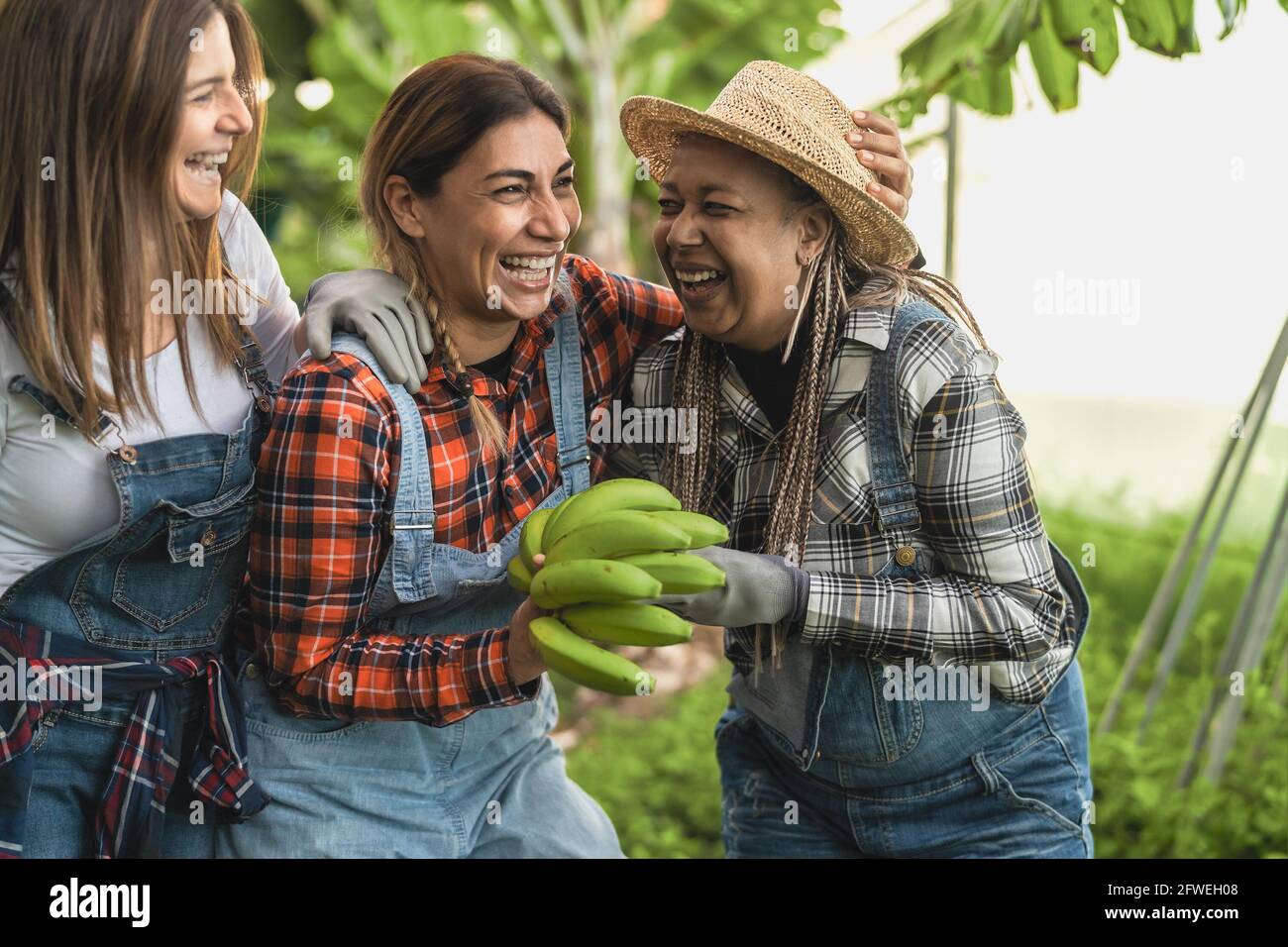 Happy female farmers having fun working in bananas plantation - Farm ...