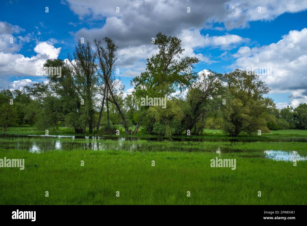 Gruner landschaft hi-res stock photography and images - Alamy