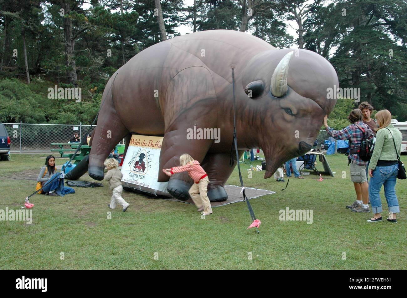 Buffalo field campaign hi-res stock photography and images - Alamy