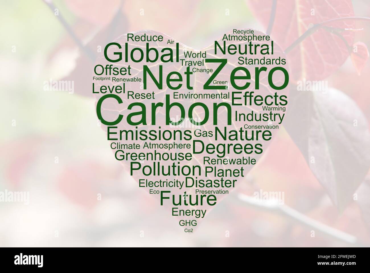 Net Zero Carbon word cloud on background of heart shaped leaf of Cersis ...