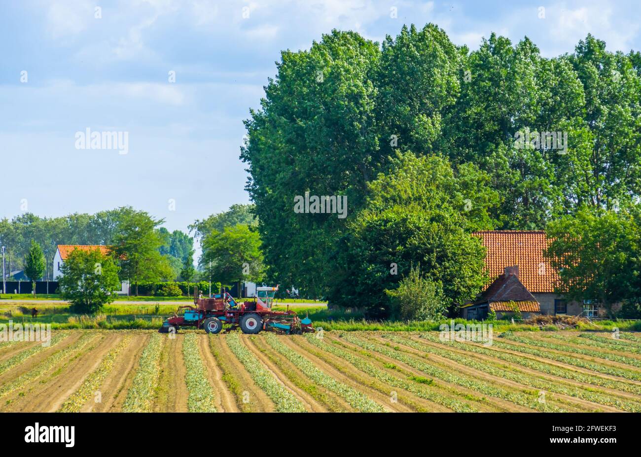 Typical Dutch landscape with tractor and farmland Stock Photo - Alamy