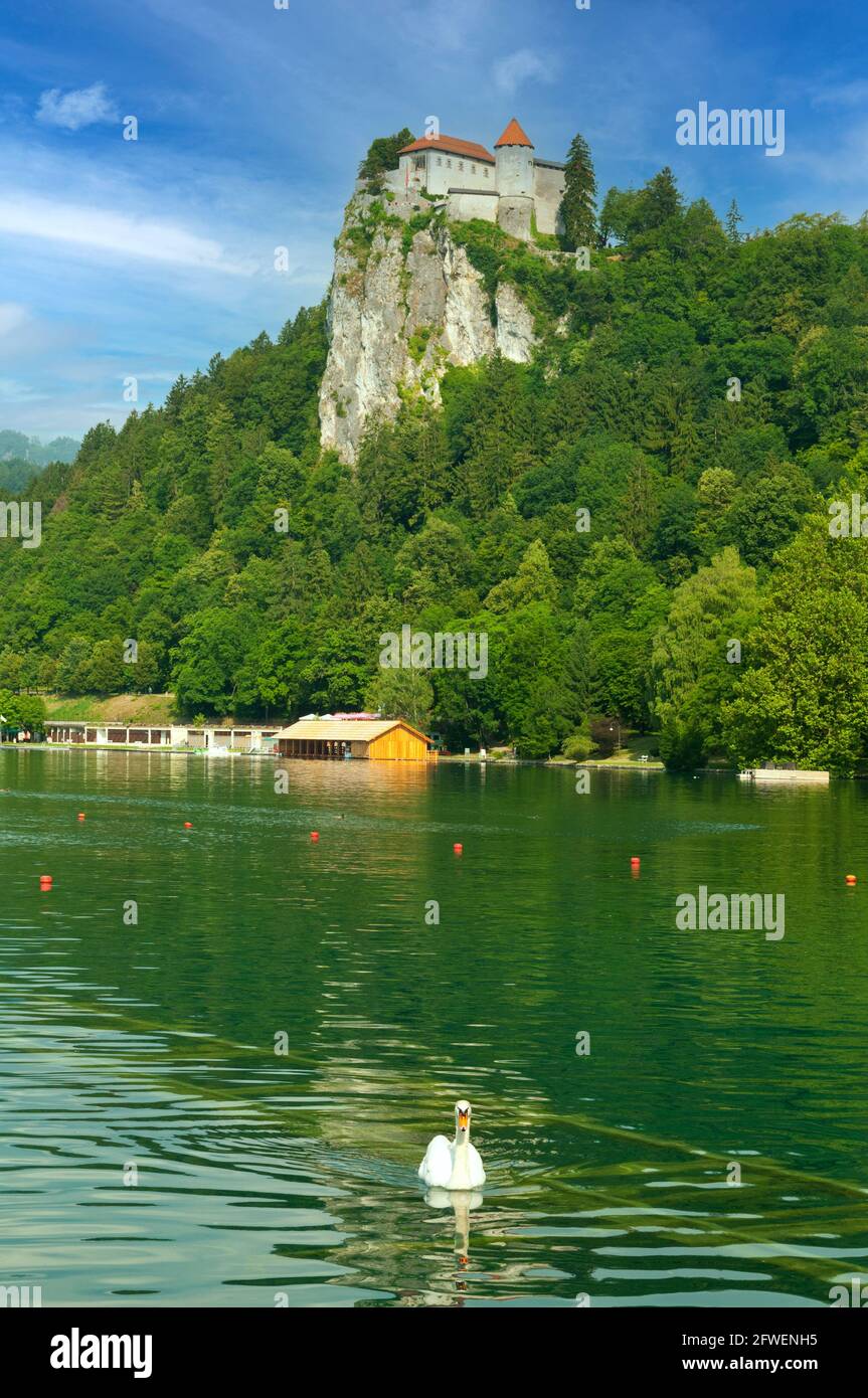Bled hi-res stock photography and images - Alamy