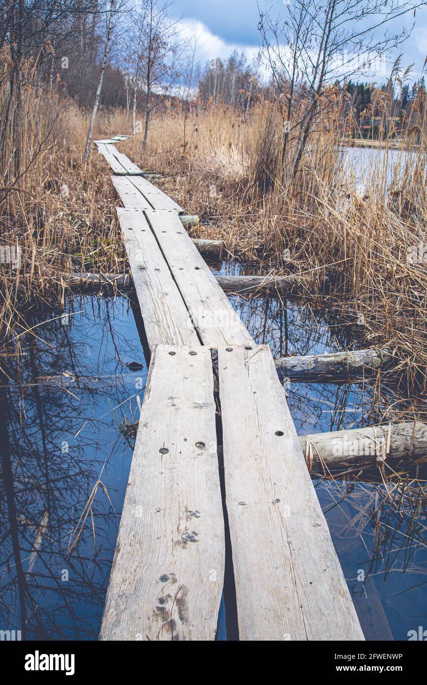 Wooden dock in a pond surrounded by bushes Stock Photo - Alamy
