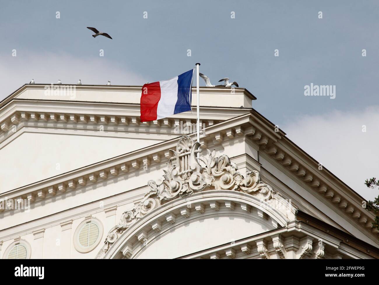 Flag of France in the city of Nice, France Stock Photo - Alamy