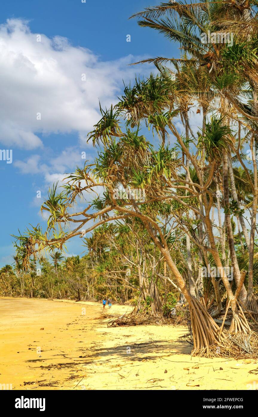 Tropical queensland hi-res stock photography and images - Alamy