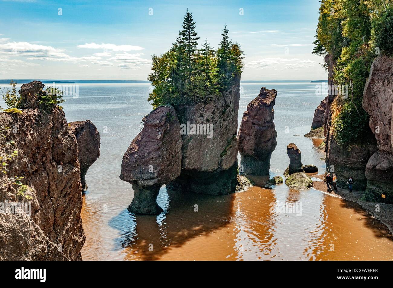 Flowerpots rocks hi-res stock photography and images - Alamy
