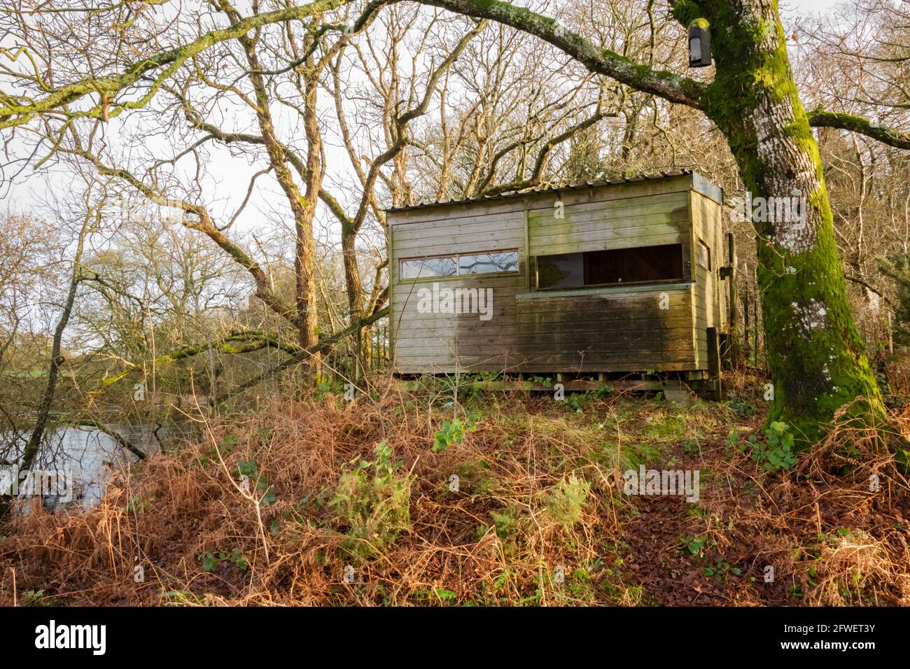 Wooden bird watching hut hi-res stock photography and images - Alamy
