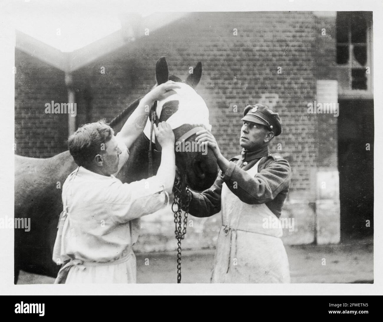 World War One, WWI, Western Front - Treating the face of a wounded ...