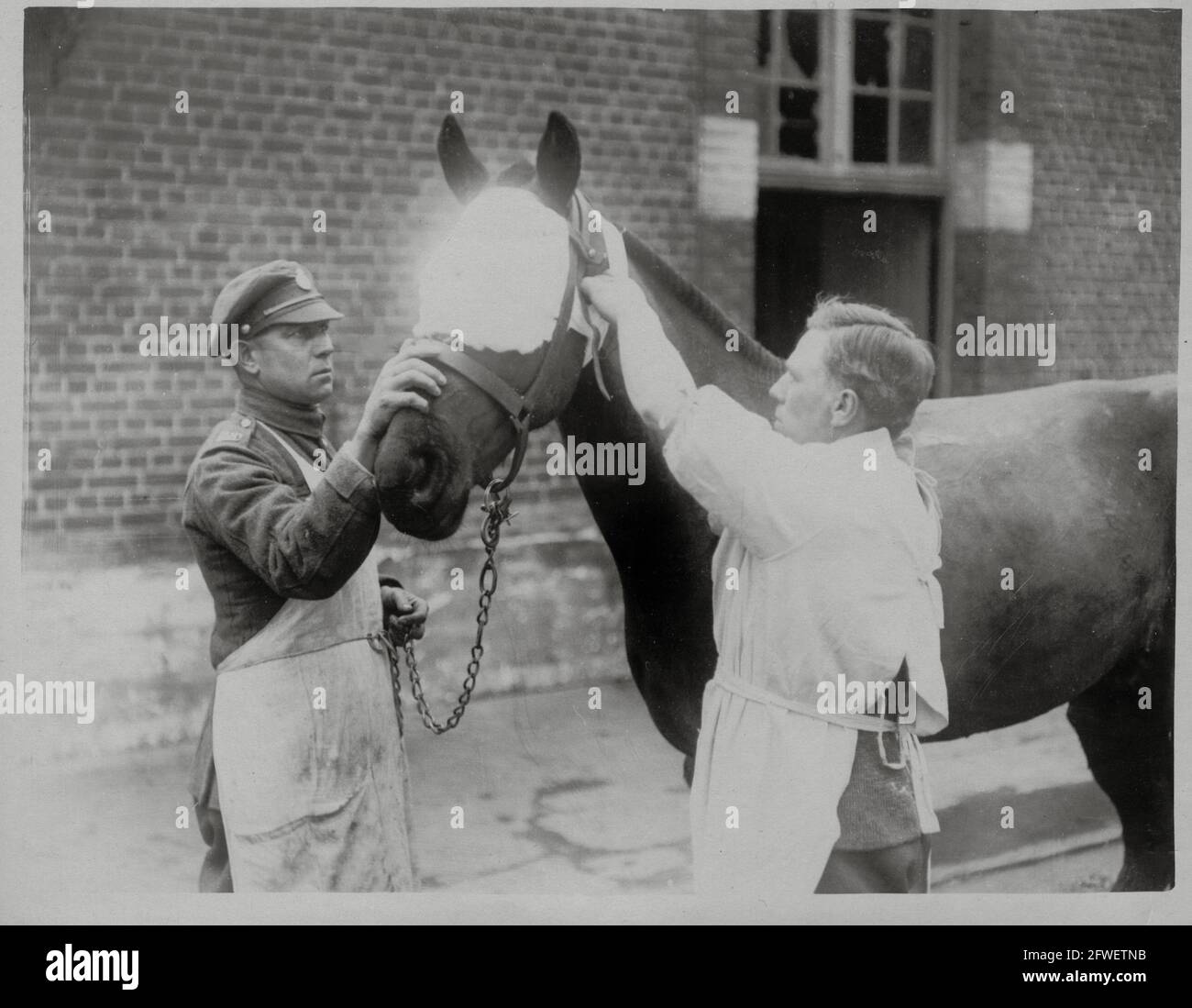 World War One, WWI, Western Front - Treating the face of a wounded ...