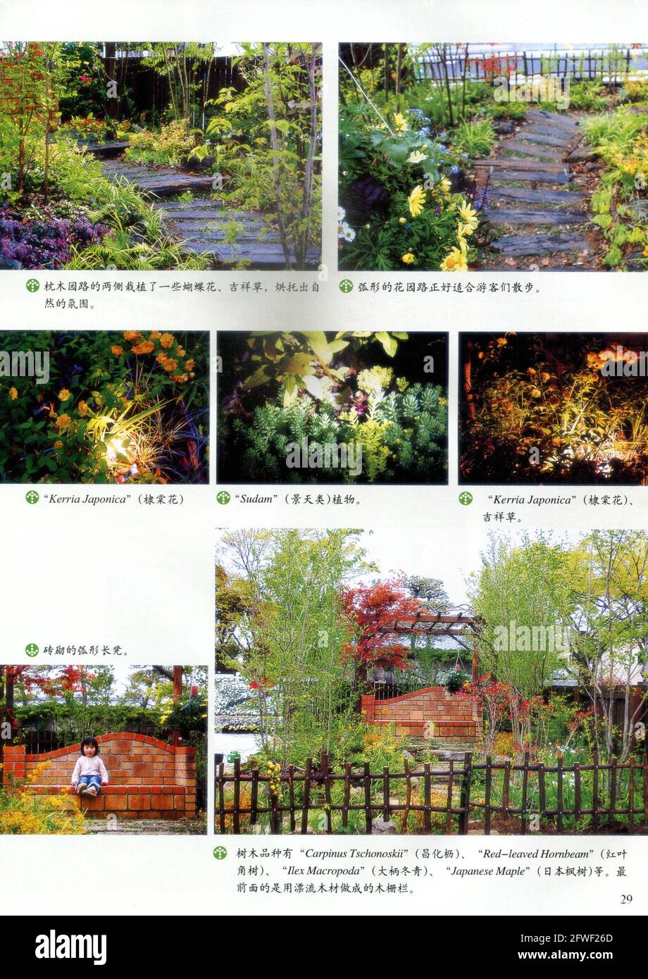 House template decoration layout plan Stock Photo - Alamy