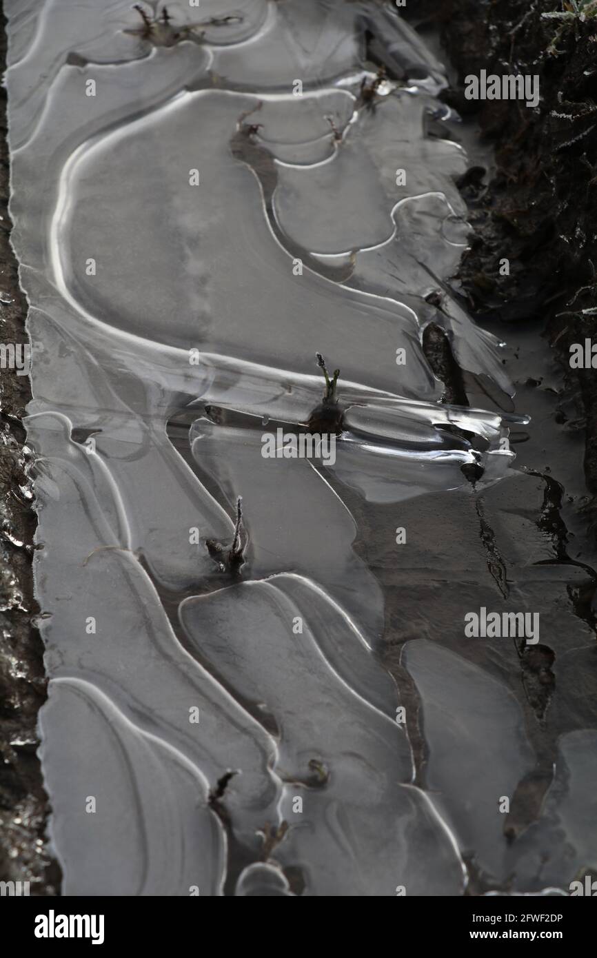natural abstract pattern in ice over a puddle Stock Photo - Alamy