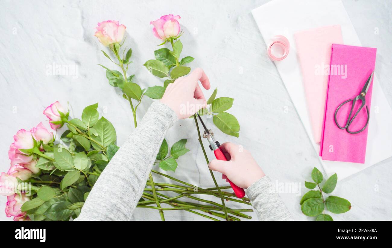 Flat lay. Step by step. Florist arranging a bouquet from pink roses ...