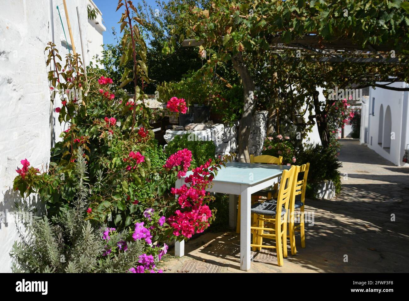 Traditional Greek taverna picturesque patio with colorful furniture and ...