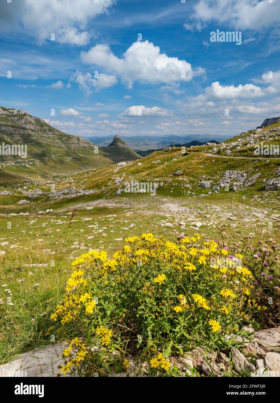 Picturesque summer mountain landscape of Durmitor National Park ...