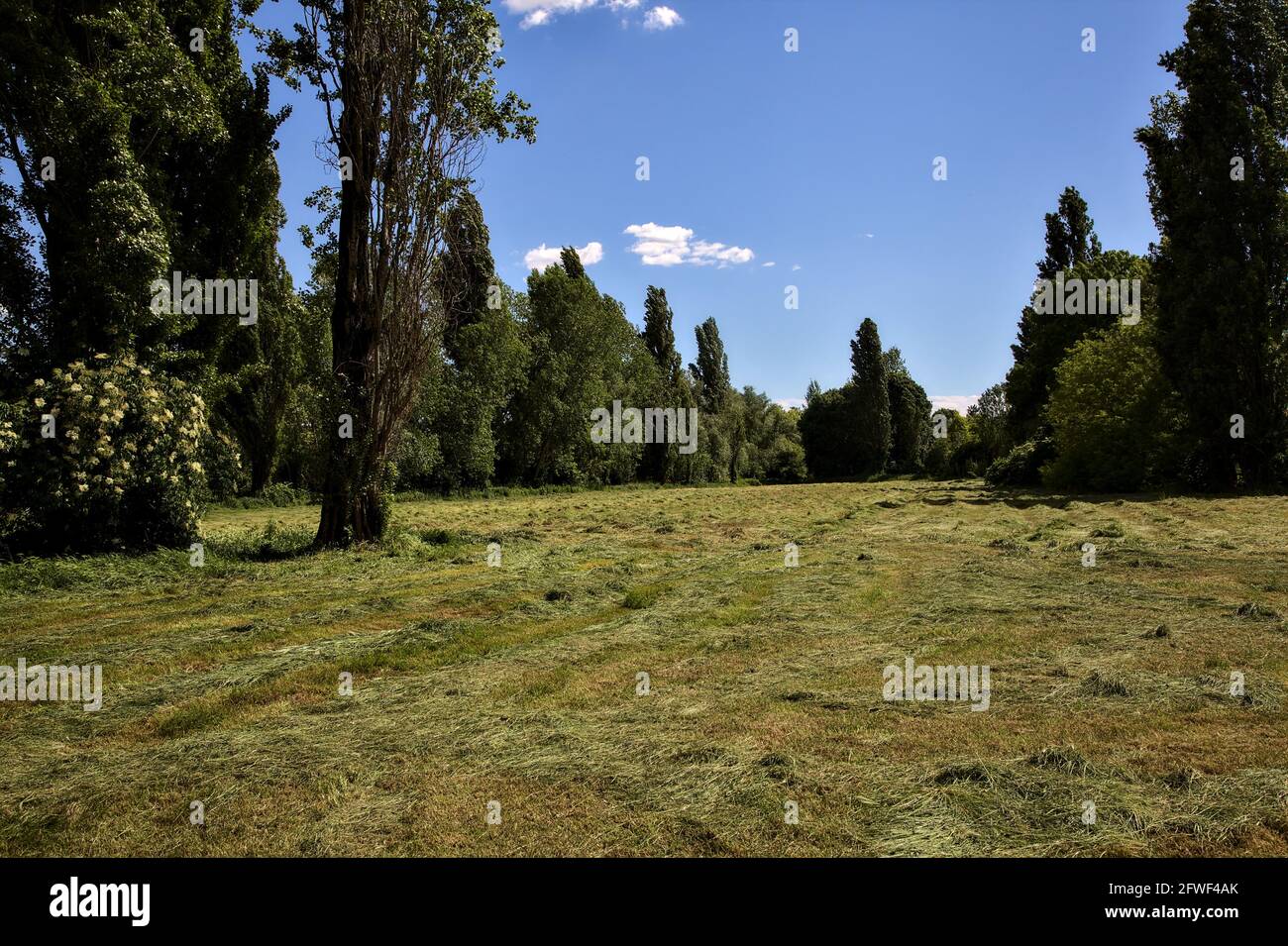 Tiny field with cutted grass next to the shore of a river in the ...