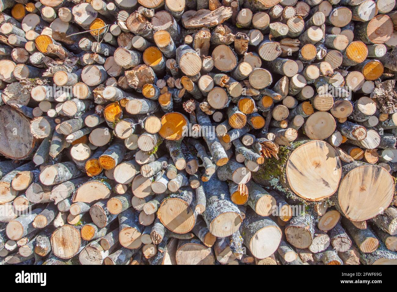 Fire wood texture hi-res stock photography and images - Alamy