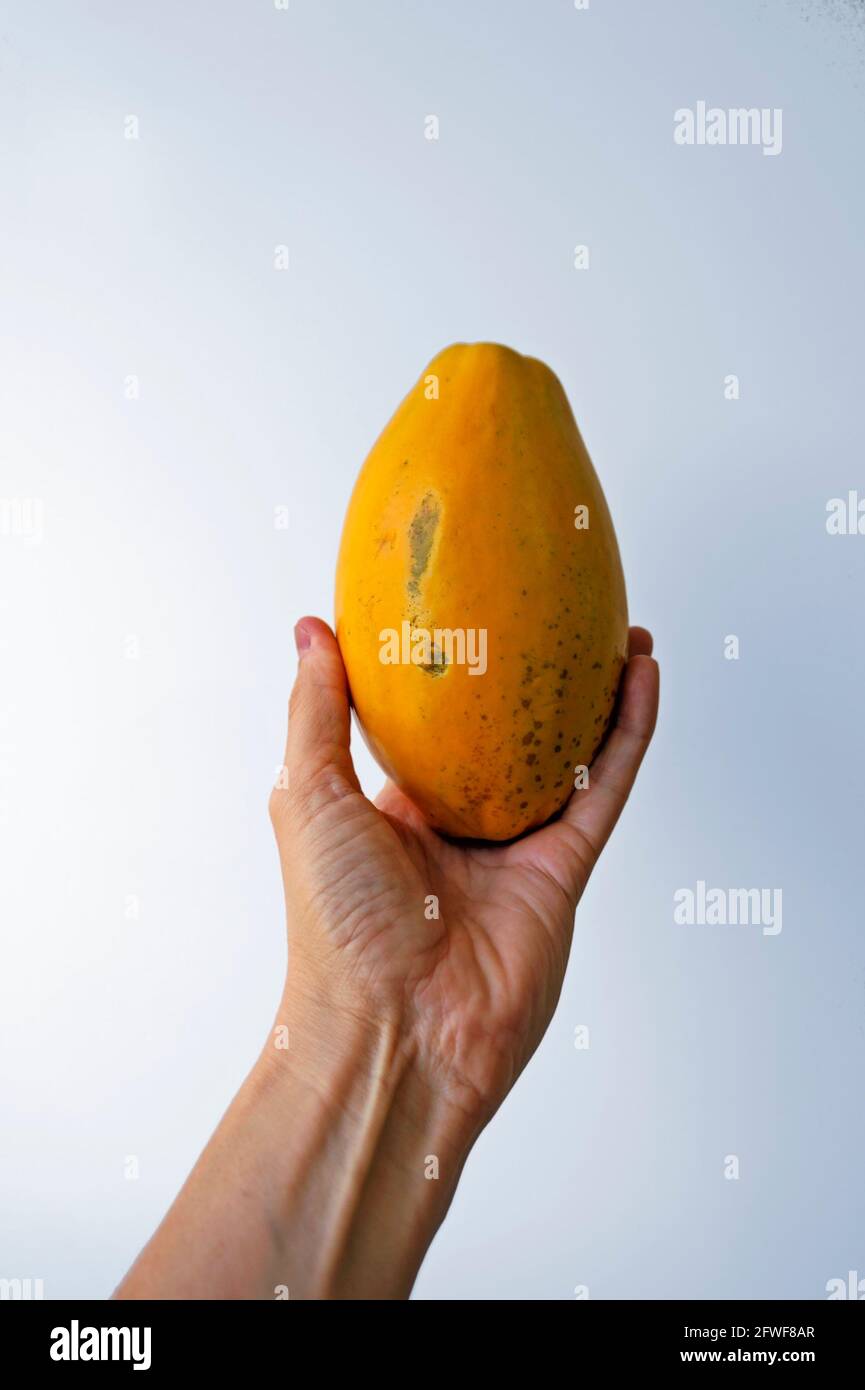 Papaya juice fresh hand hi-res stock photography and images - Alamy