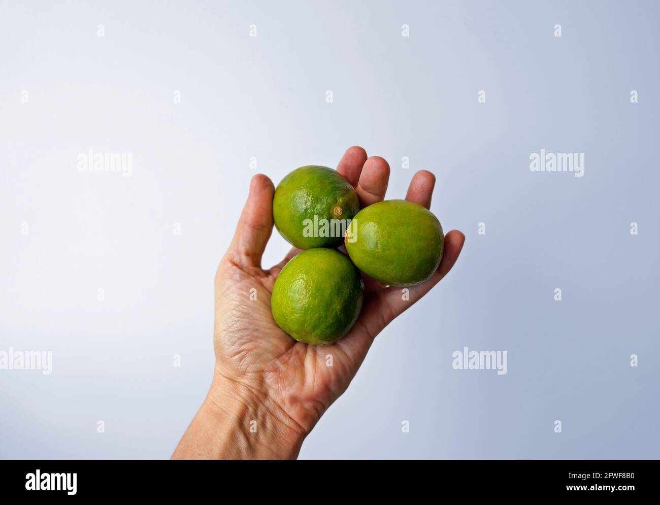 Limes on hand in a bright background Stock Photo - Alamy