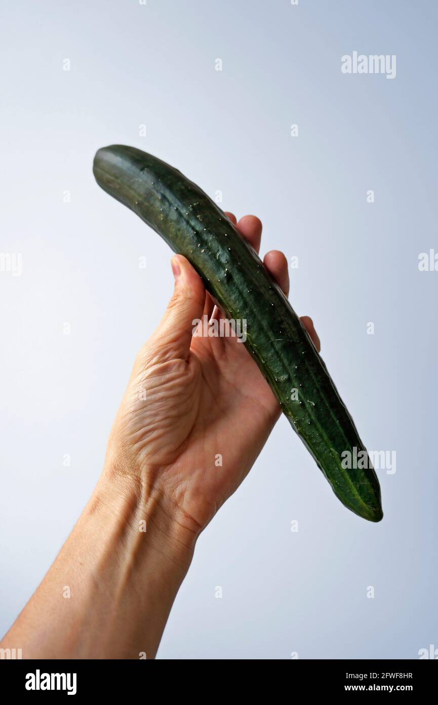 European cucumber on hand in a bright background Stock Photo - Alamy
