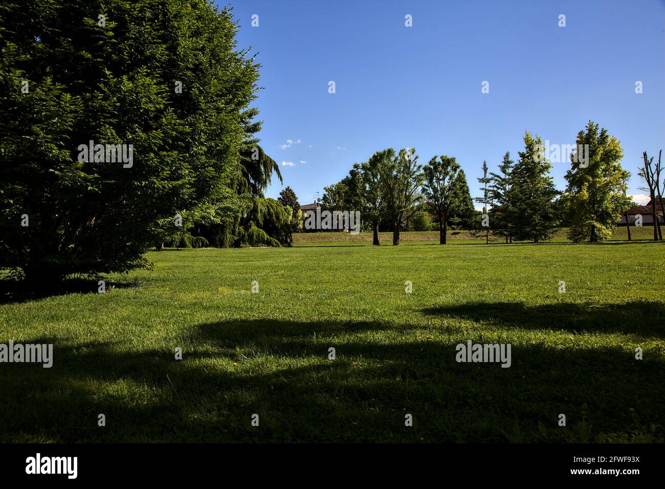 Open space with trees in an italian village Stock Photo - Alamy