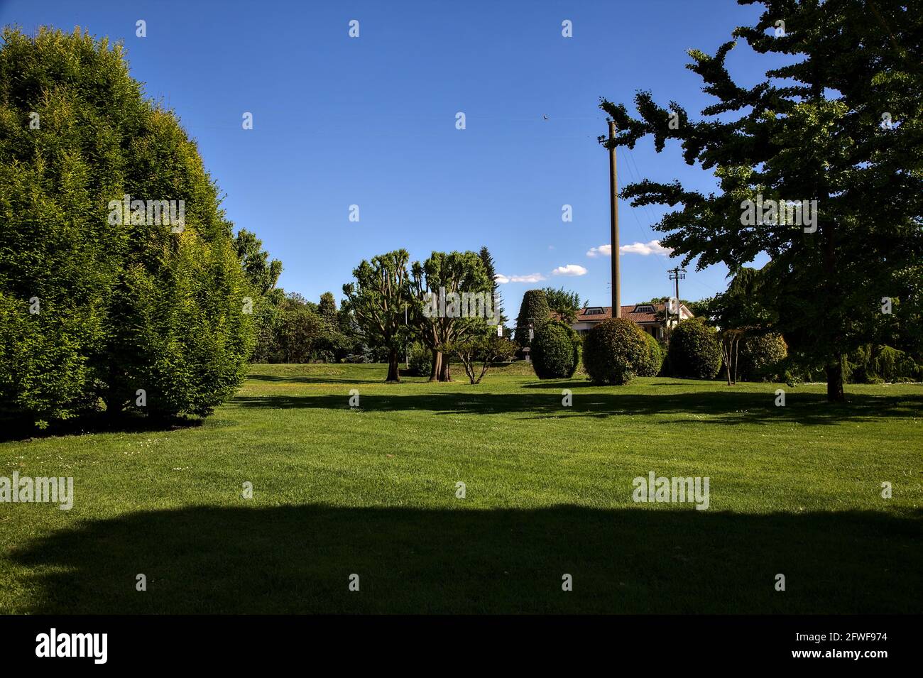 Open space with trees in an italian village Stock Photo - Alamy