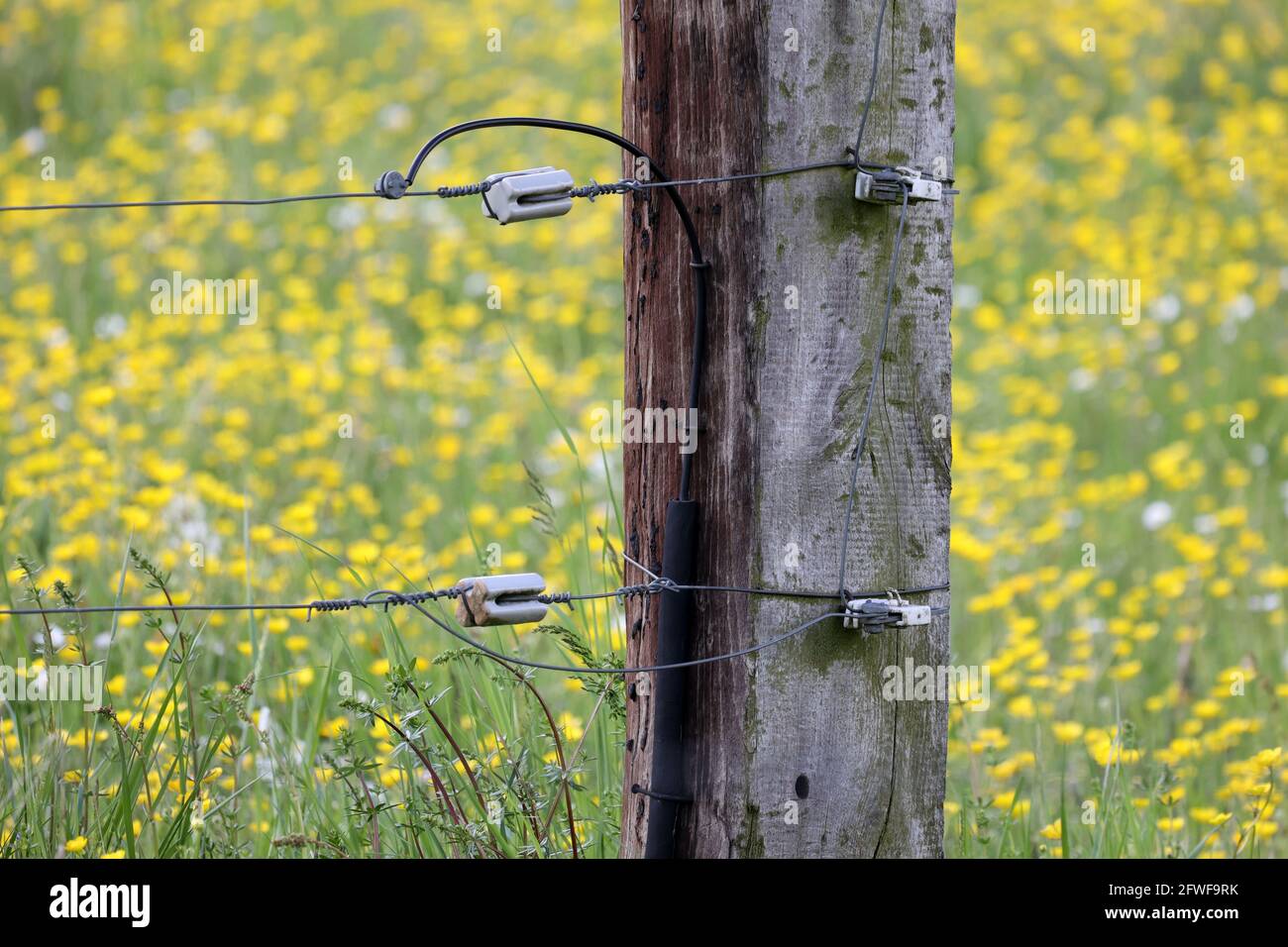 Close up of a electrical wire fence around a pasture Stock Photo - Alamy