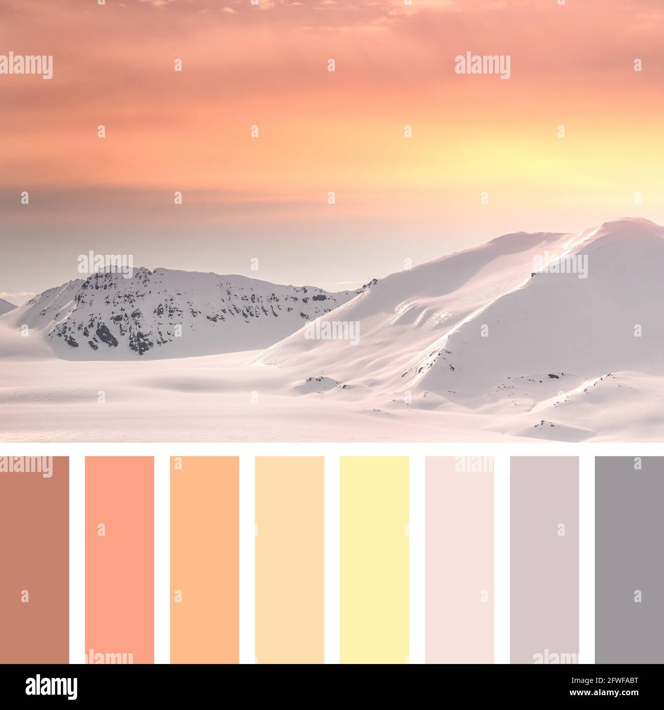 Grey colour chart hi-res stock photography and images - Alamy