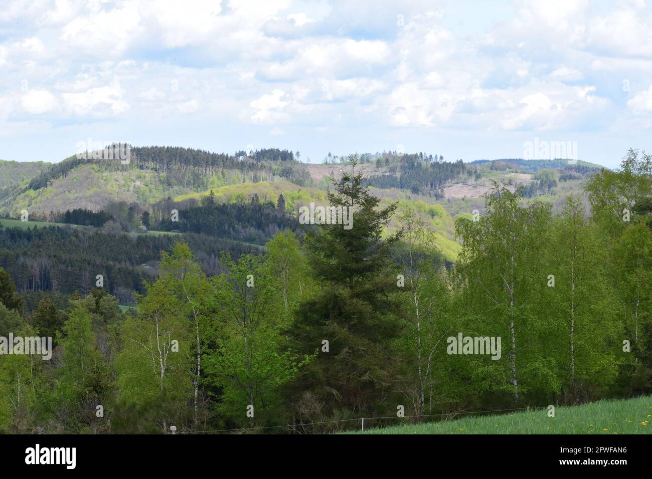 Eifel landscape around Siebenbach Stock Photo - Alamy