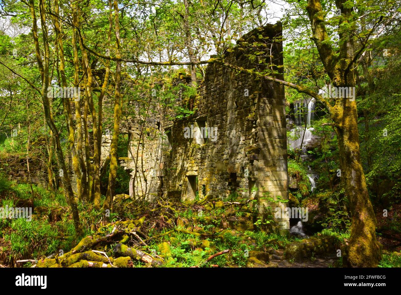 Staups mill hi-res stock photography and images - Alamy