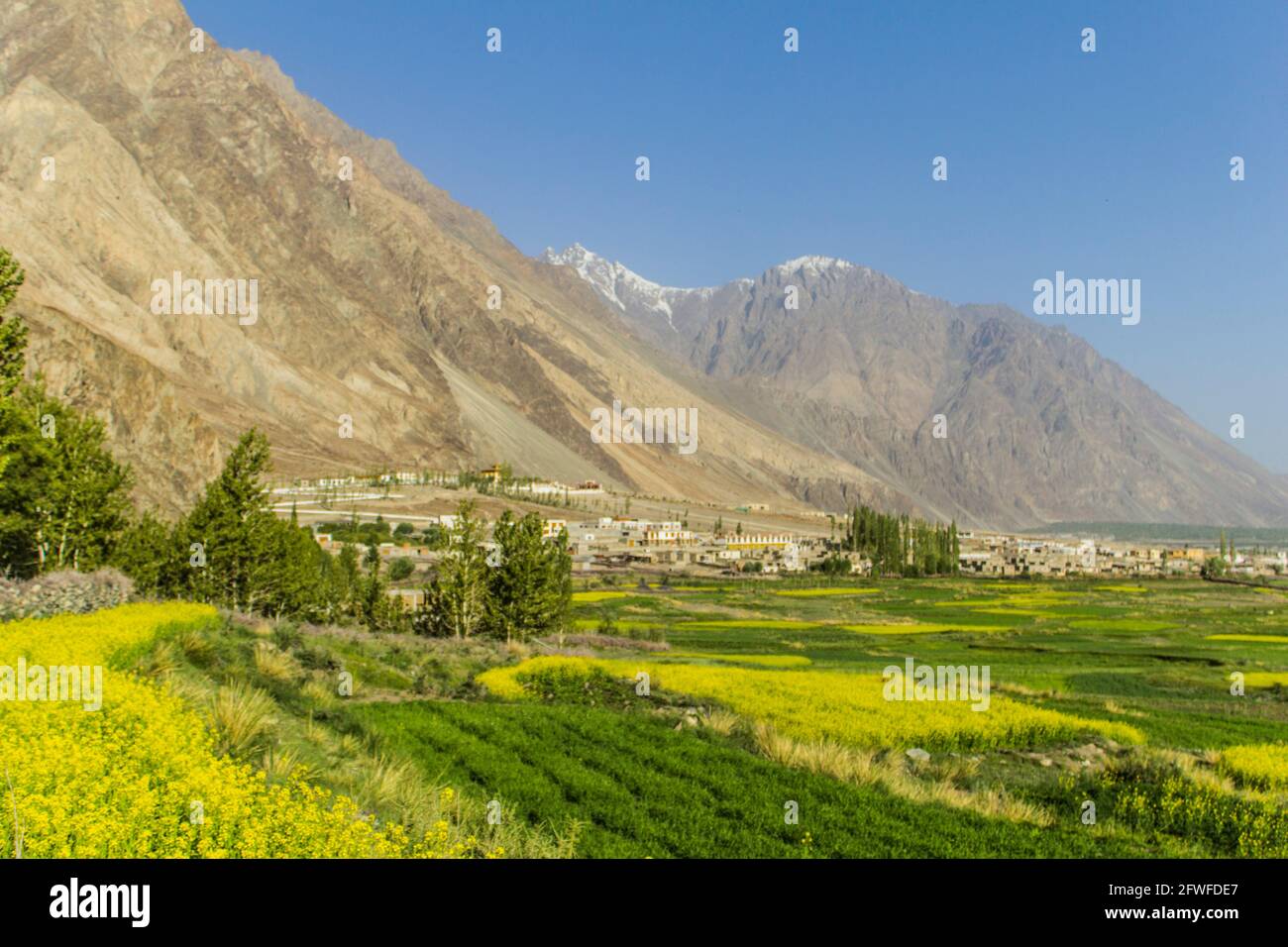 Various views of Diskit, Ladakh Stock Photo - Alamy