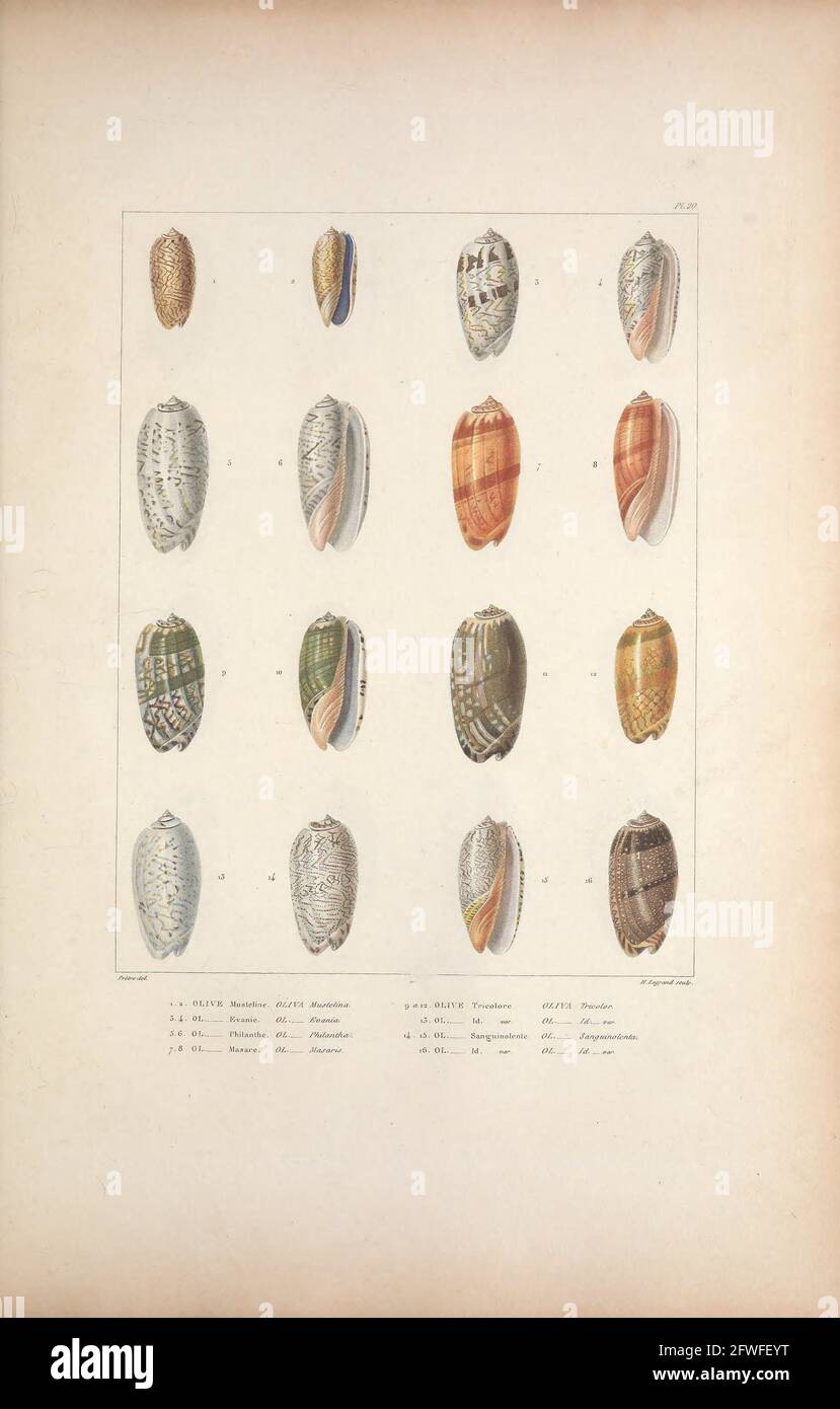 Firmin didot freres paris hi-res stock photography and images - Alamy