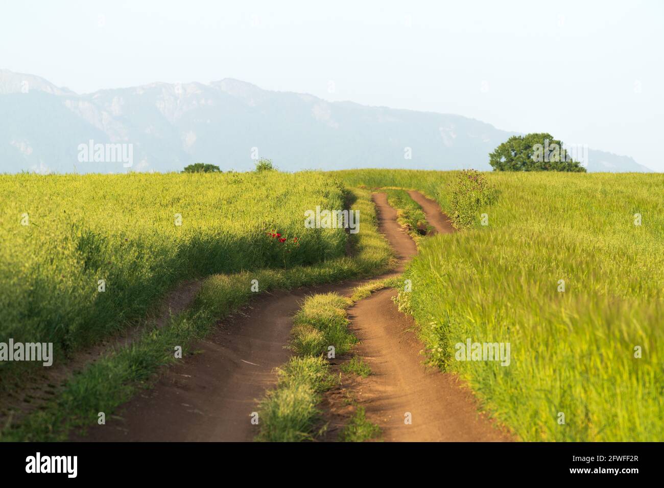 Agriculture farming mountain road hi-res stock photography and images ...