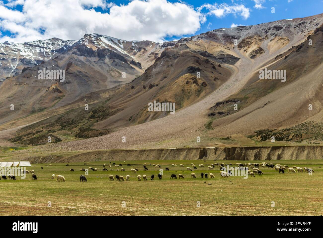 Various views of the Manali Leh Highway Stock Photo - Alamy