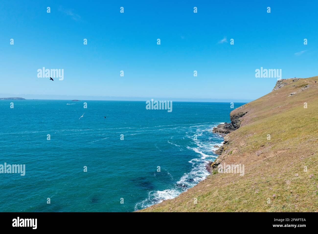 Views Looking out to the Atlantic Sea from Pentire Point in North ...
