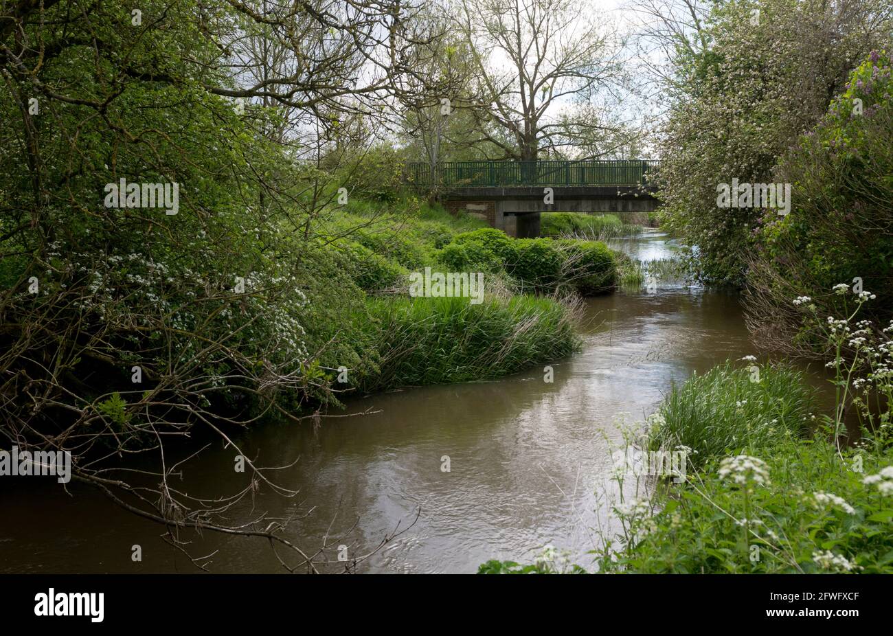 Spring rivers hi-res stock photography and images - Alamy