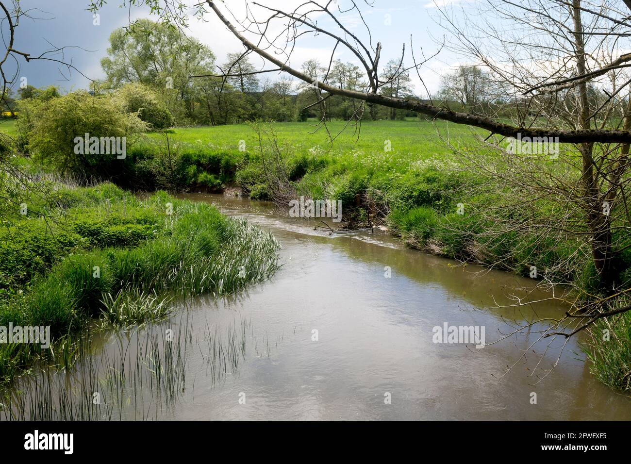 The River Alne at Great Alne in spring, Warwickshire, England, UK Stock ...