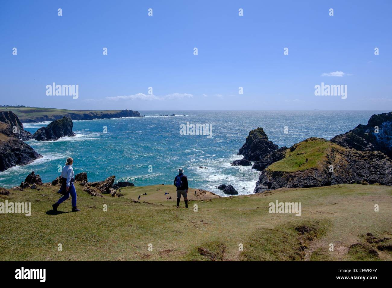 Kynance Cove South West Coast Path Lizard Point Cornwall England Stock ...