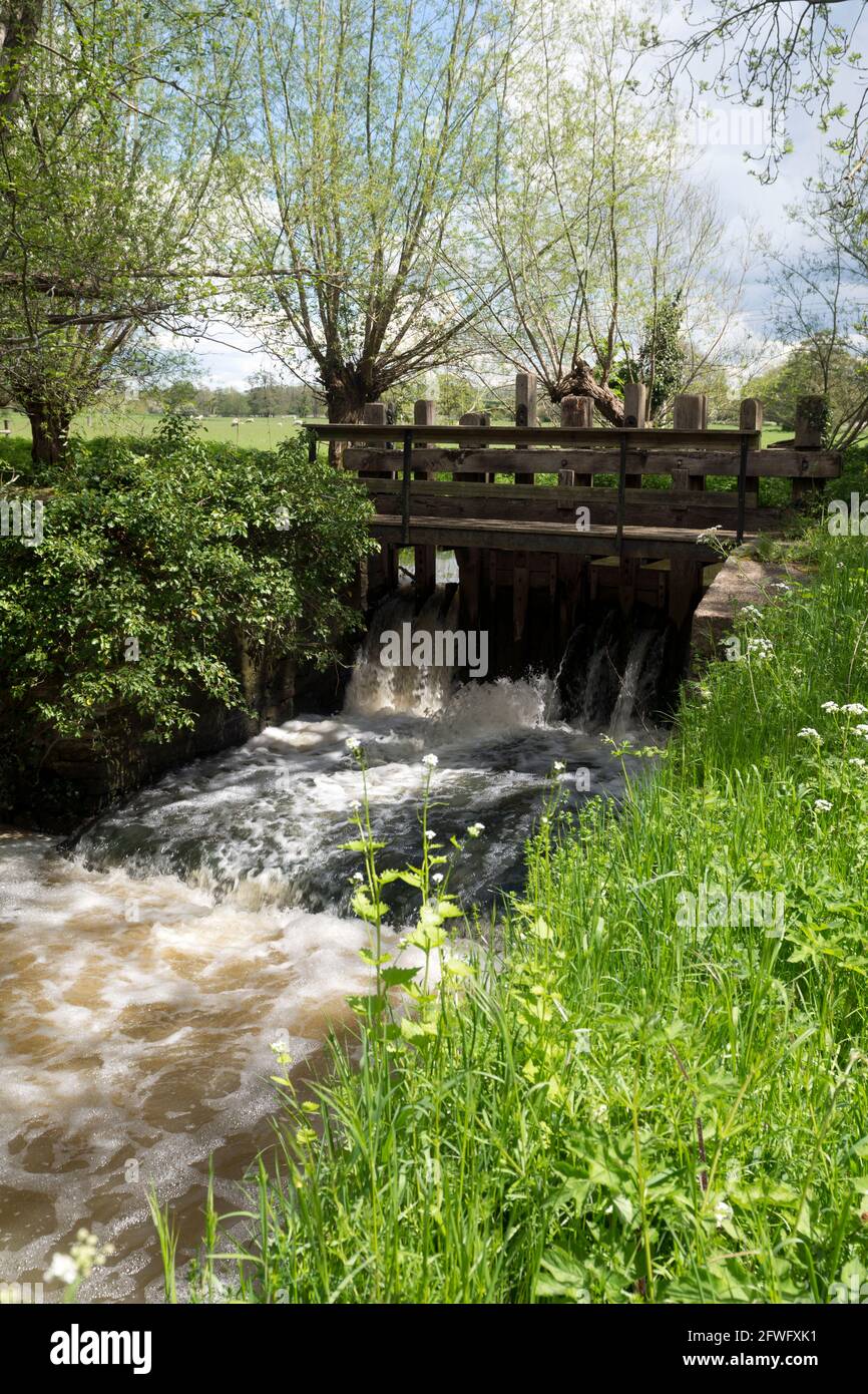 Mill leat on the River Alne, Great Alne, Warwickshire, England, UK ...