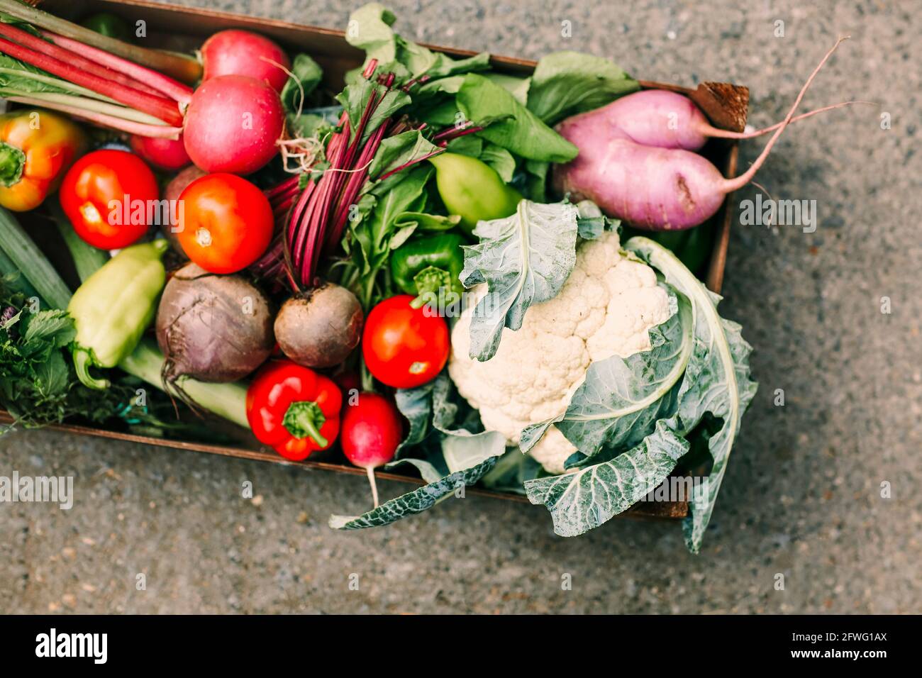 Top view of carton container with harvest of various fresh vegetables ...