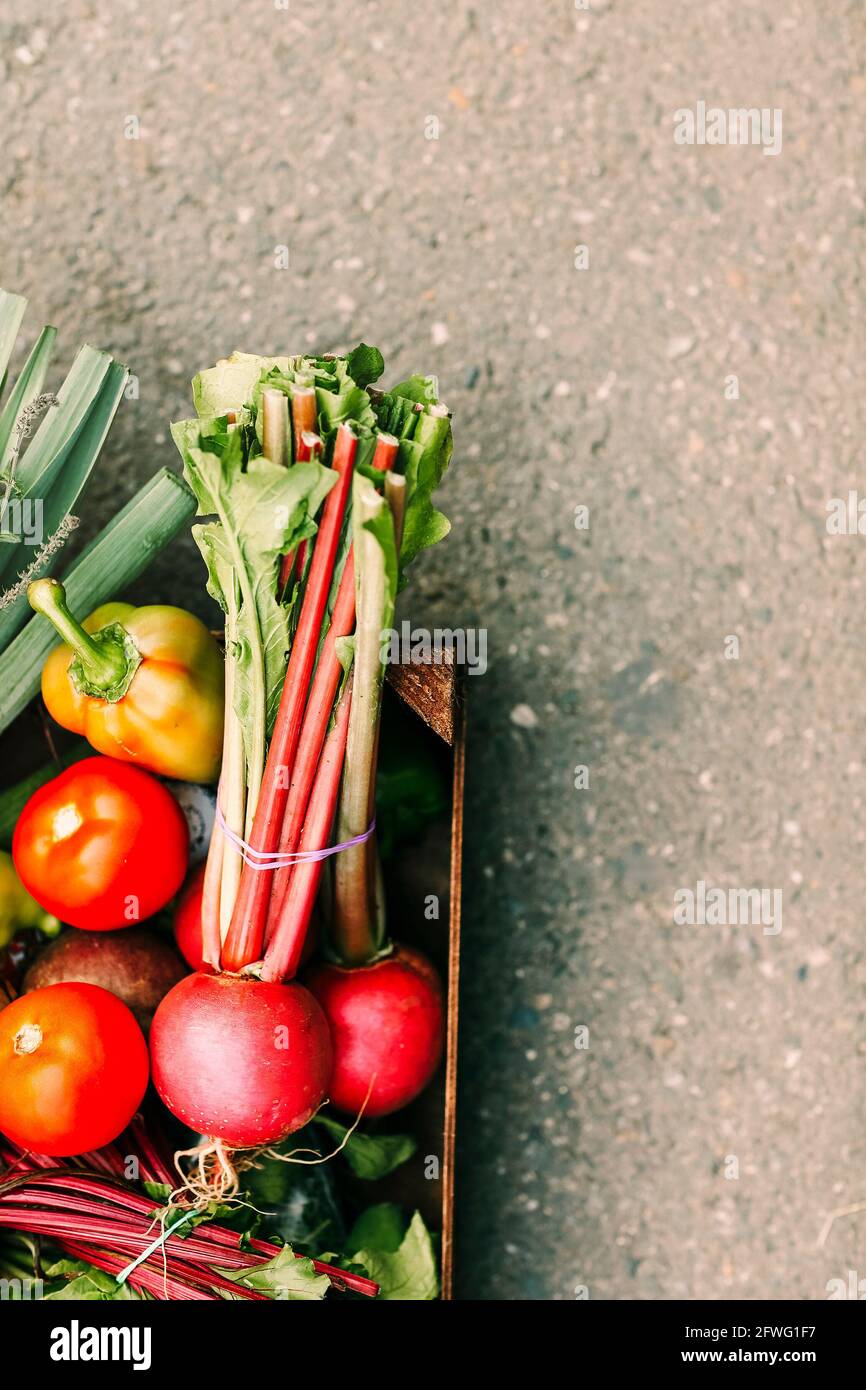 Top view of carton container with harvest of various fresh vegetables ...