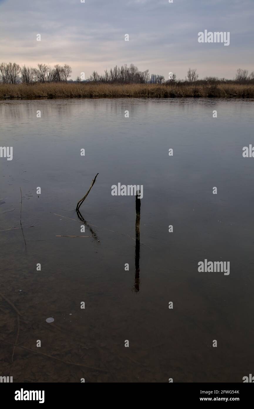 Pond in a marsh of a park in the italian countryside in winter Stock ...