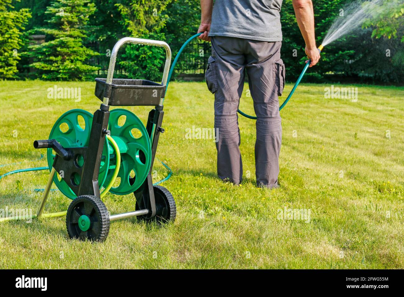 Watering plants. Man holding garden hose. Summer work outdoors Stock ...